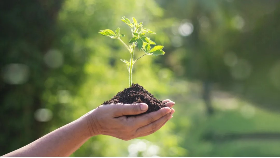 Earth Day 2021: Time to restore our natural world - TCI Magazine